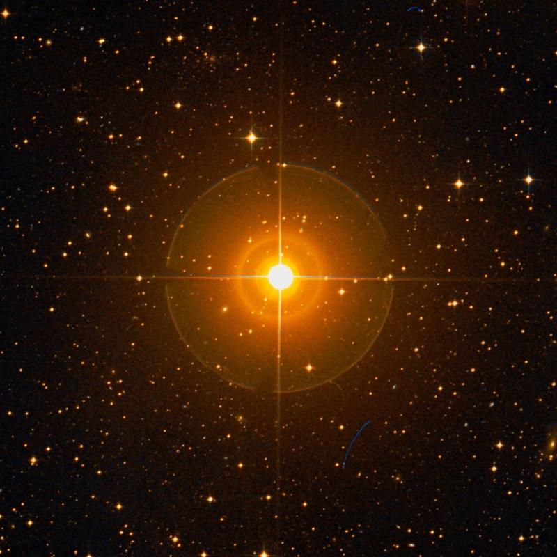 CONSTELACIÓN COLUMBA / PALOMA